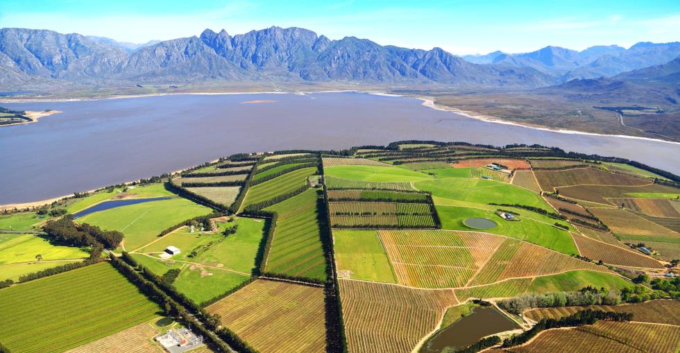 How to Start a Farm in South Africa